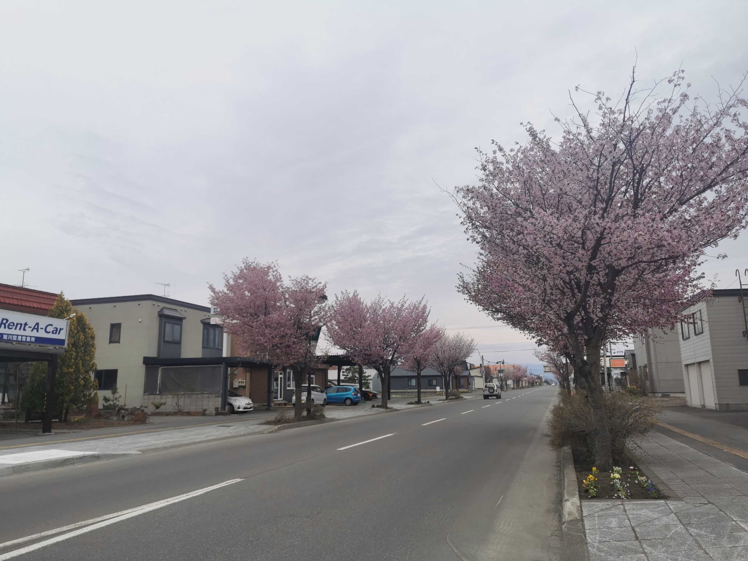 5月になりましたねー。 | 札幌の訪問看護ステーションCISE(チセ)