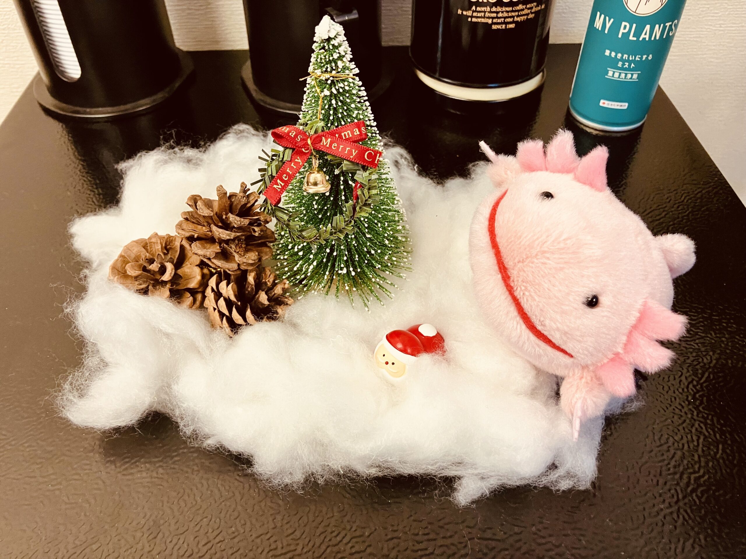 SODAさっぽろ～クリスマスver～ | 札幌の訪問看護ステーションCISE(チセ)